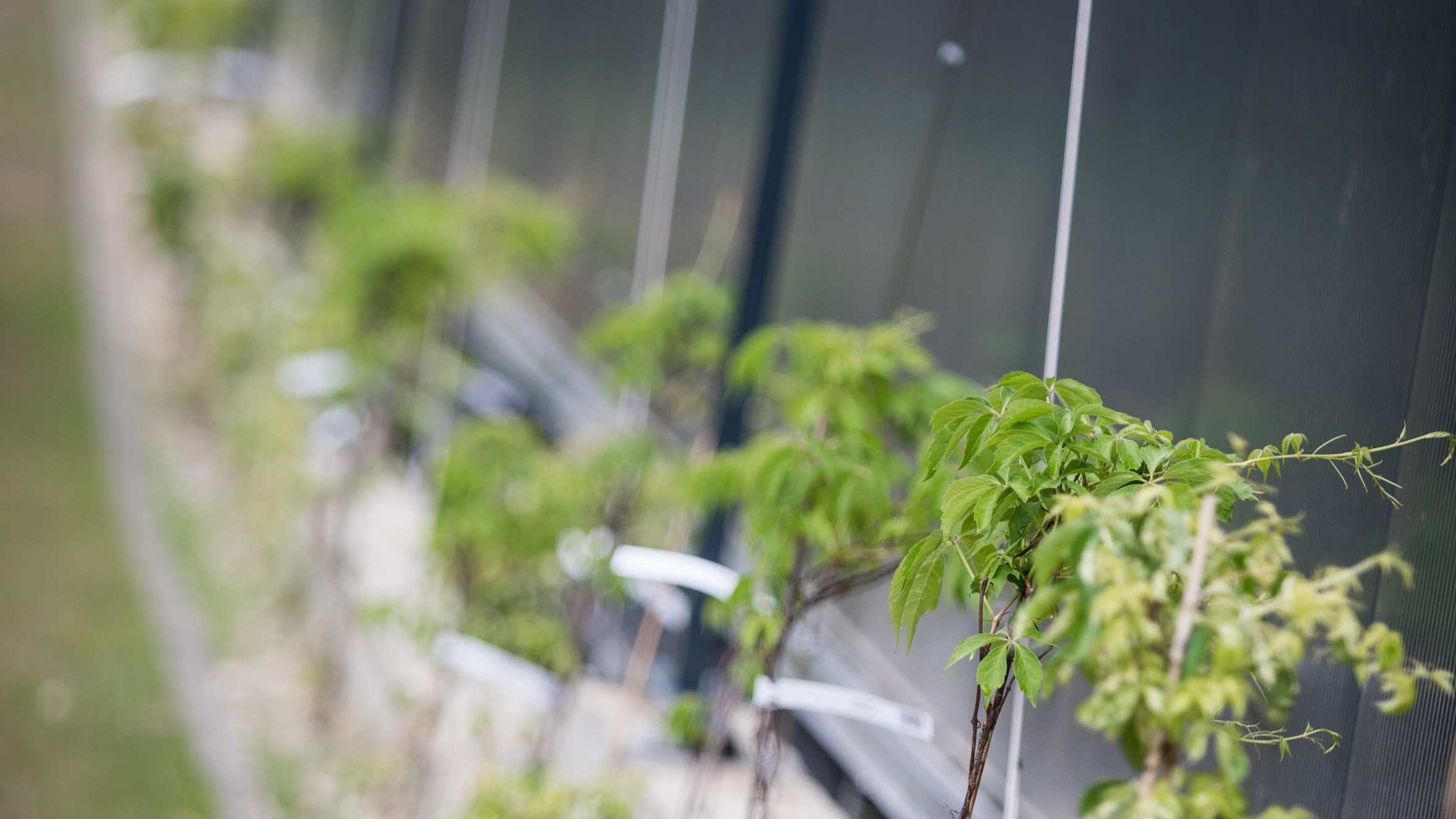 Ruukki® LowCarbon sandwich panels now with verified EPDs