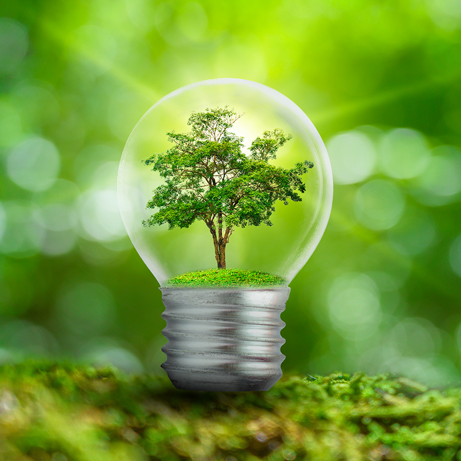 Invest in solar power and a fossil-free future